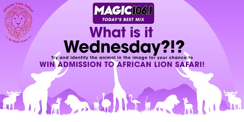 What is it Wednesday? | Magic 106